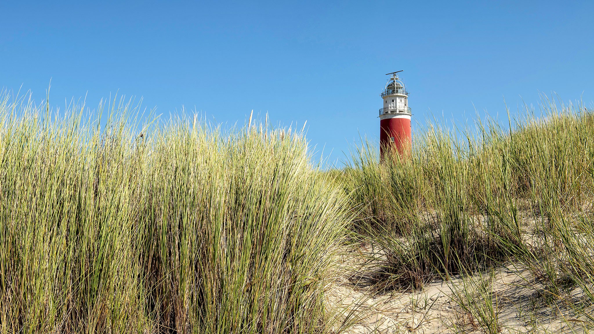Natuurfotografie - Ruud Engels | Photography